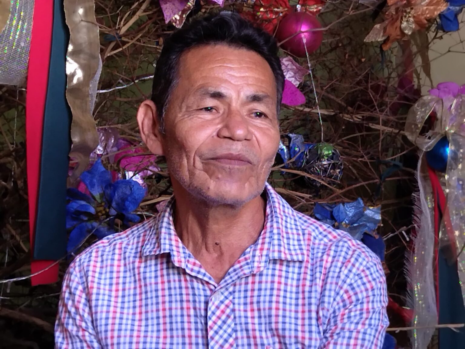 Cuatro metros de ingenio: Conozca el árbol navideño de la Calle ...