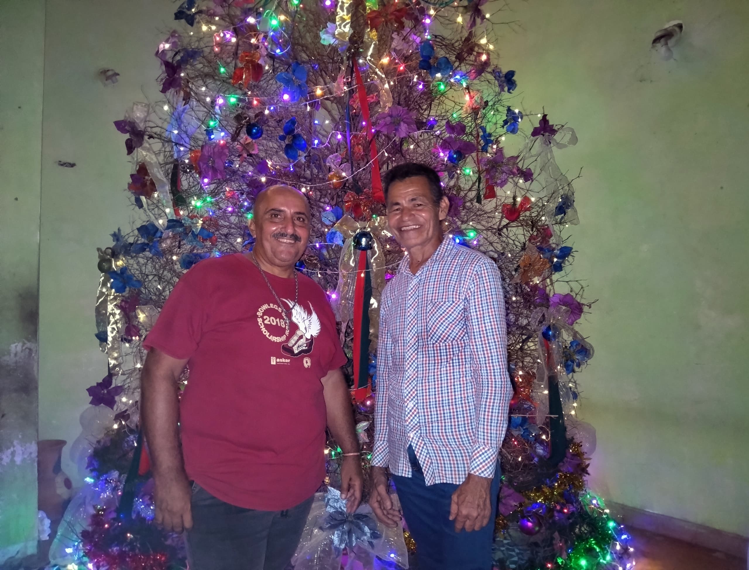 Cuatro metros de ingenio: Conozca el árbol navideño de la Calle ...